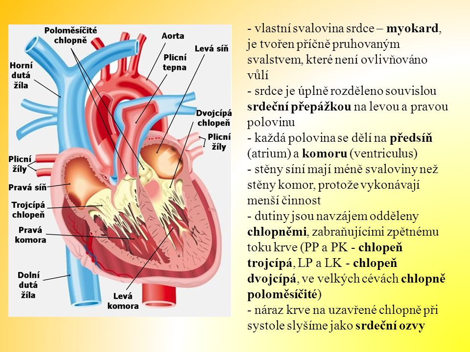Základní škola Tomáše Šobra a mateřská škola Písek | Přírodopis ...